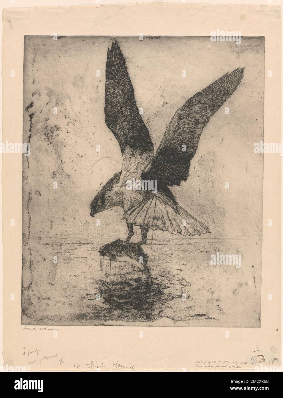 Fish hawk , Ospreys, Fish. Frank W. Benson (1862-1951). Prints and ...