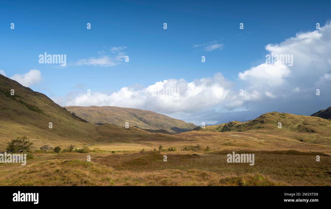Typical landscape in the Highlands, Scotland, Great Britain Stock Photo ...
