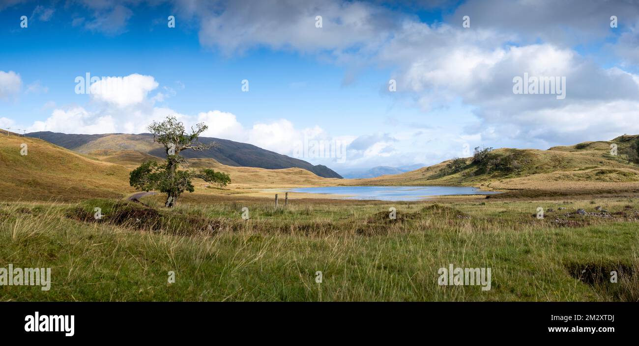 Typical landscape in the Highlands, Scotland, Great Britain Stock Photo ...