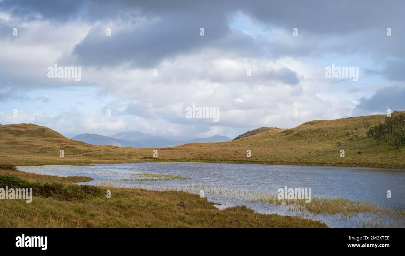 Typical british landscape hi-res stock photography and images - Alamy