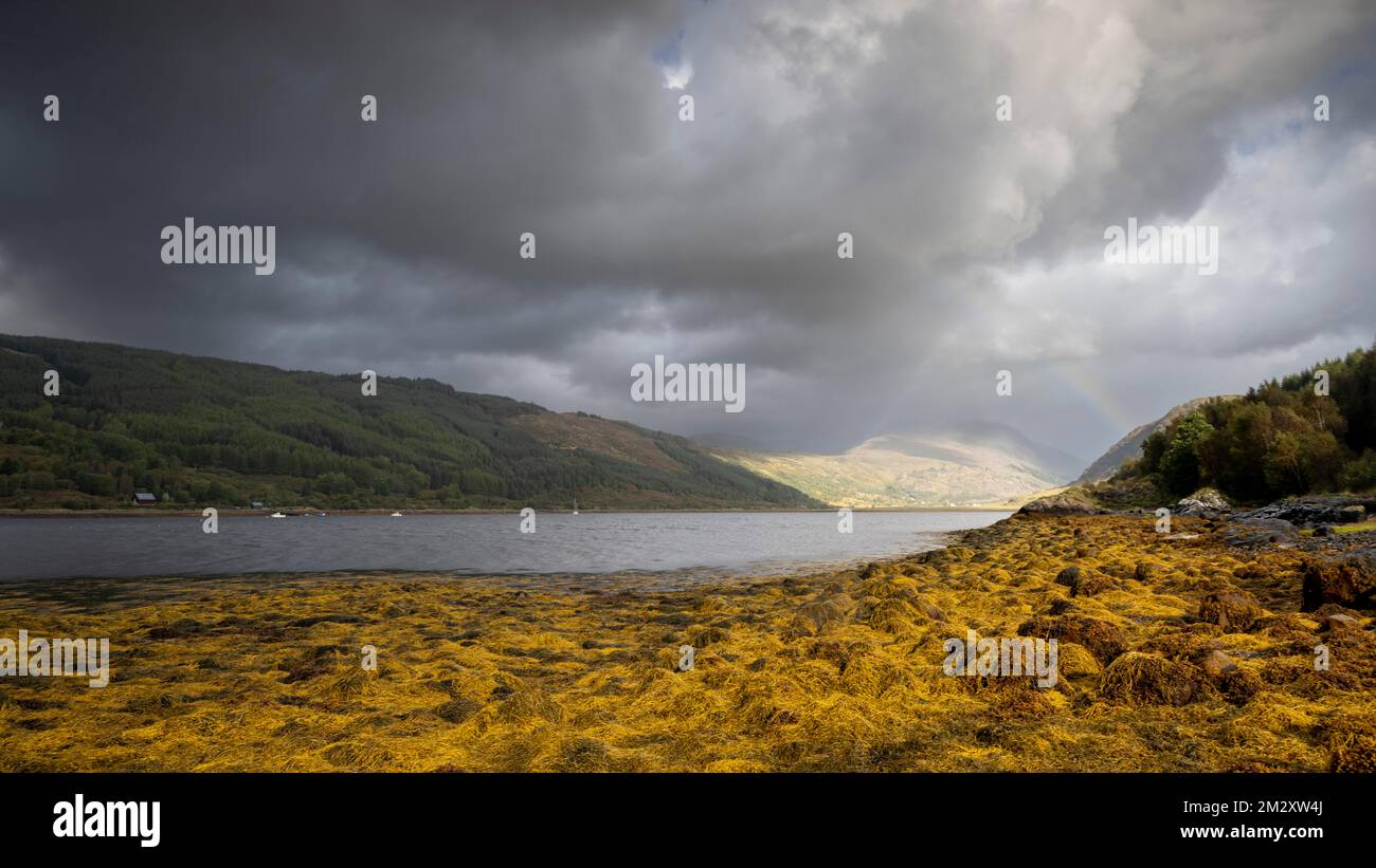Typical landscape in the Highlands, Scotland, Great Britain Stock Photo ...