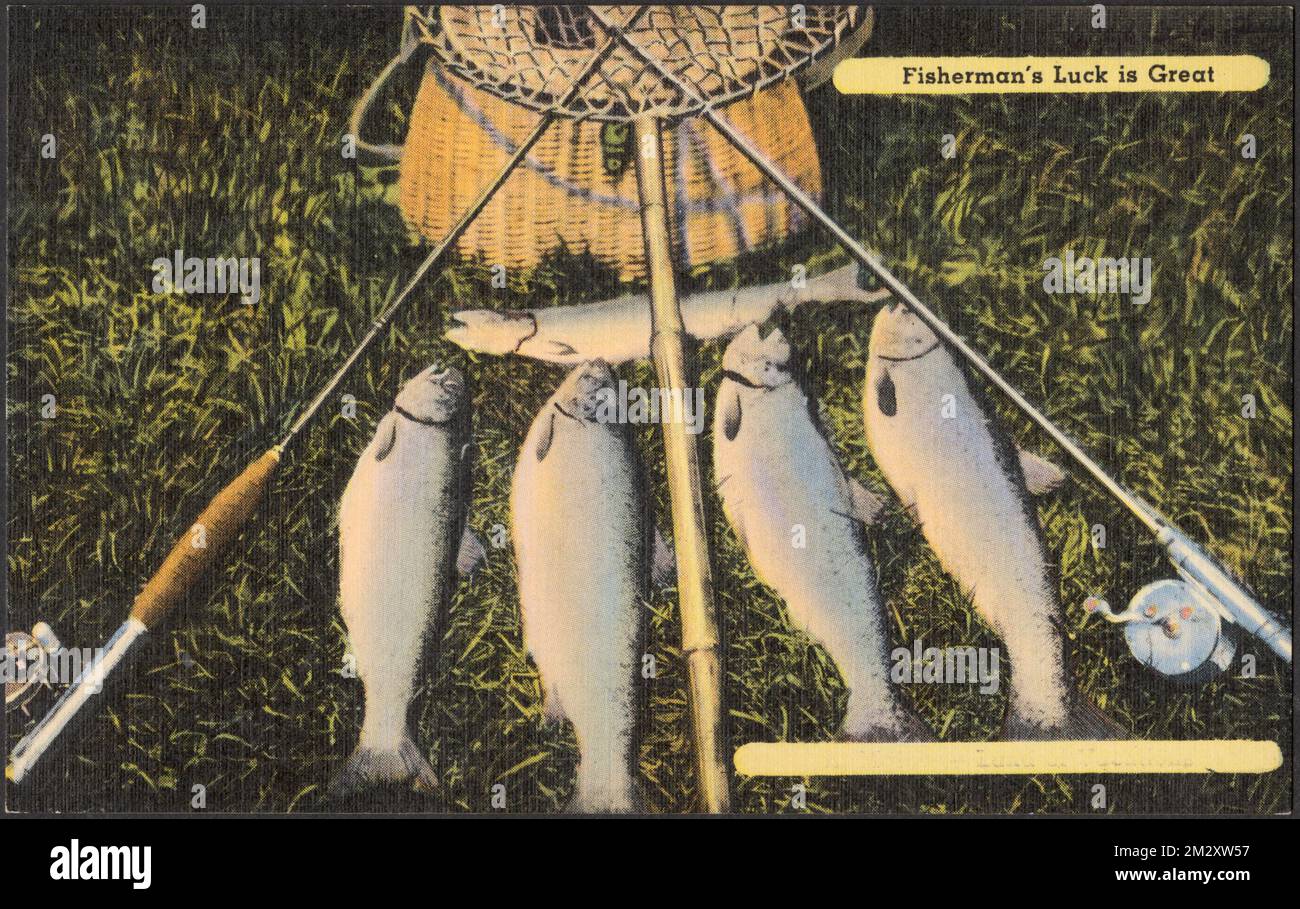 Fisherman's luck is great , Fish, Fishing & hunting gear, Tichnor ...