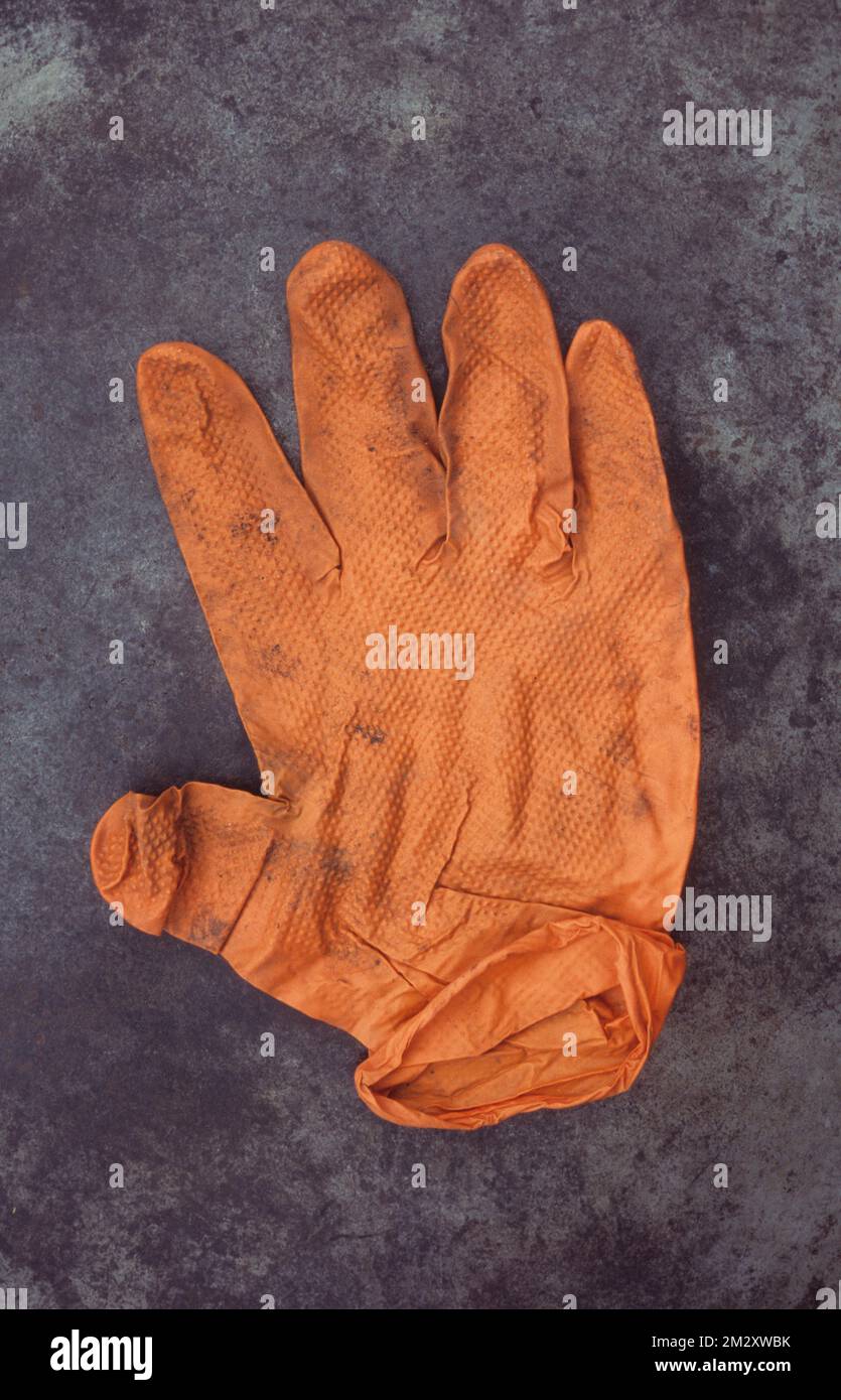 Soiled and squashed rubber or latex orange glove lying on tarnished ...