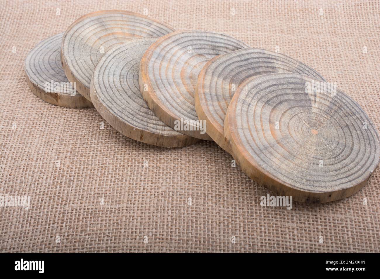 Wood Log cut in round thin pieces on canvas Stock Photo - Alamy