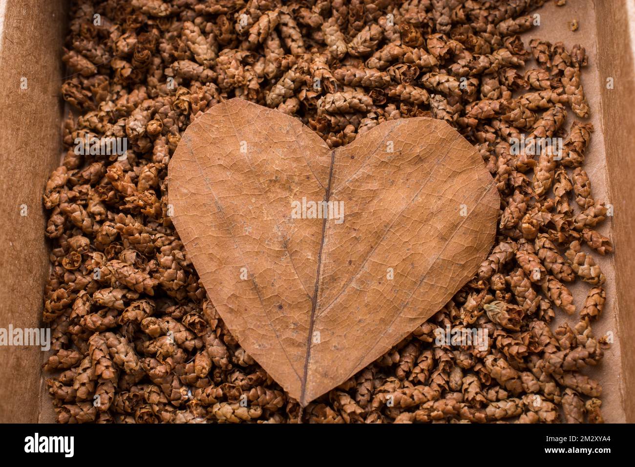 Brown leaves form heart shape on brown background Stock Photo - Alamy