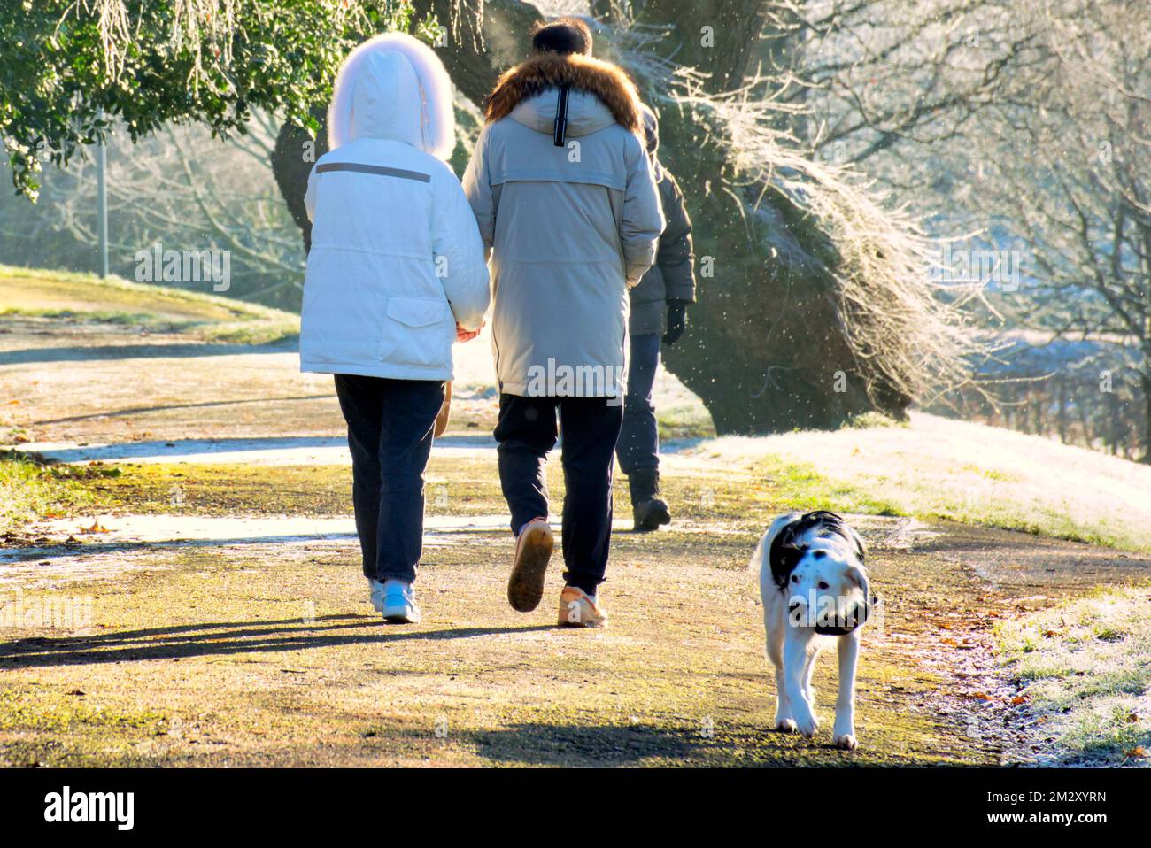 2022 wrapped hi-res stock photography and images - Alamy