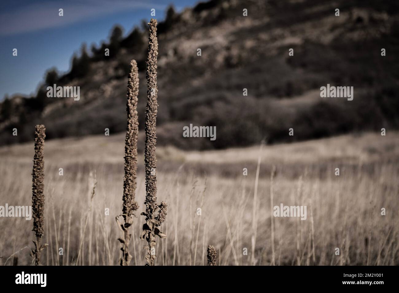 Never alone hi-res stock photography and images - Alamy