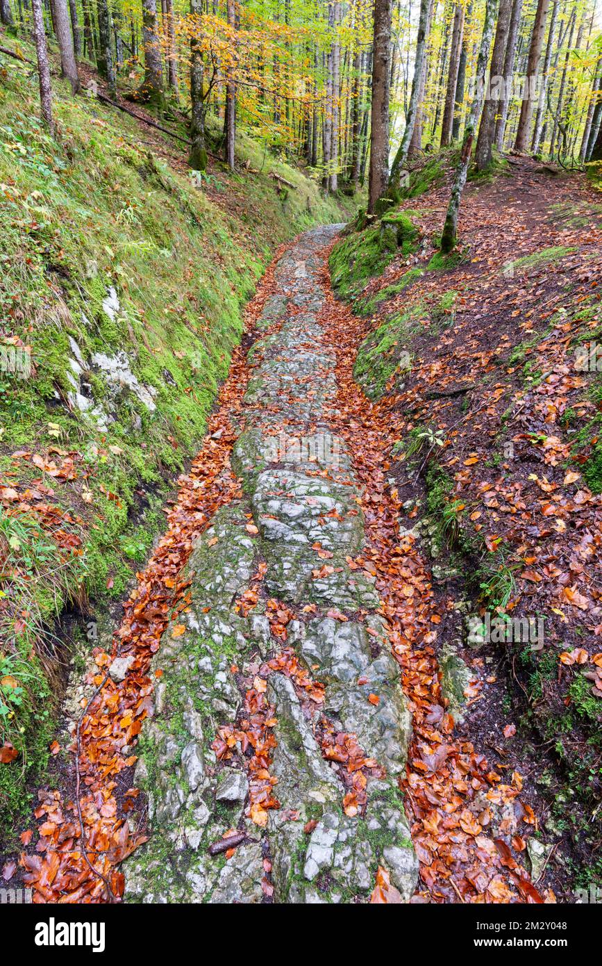 Celtic road, Roman road, Rottweg, historic track road near Klais ...