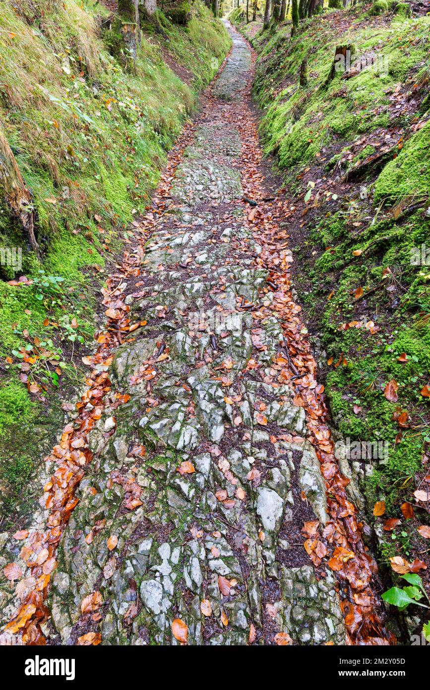 Celtic road, Roman road, Rottweg, historic track road near Klais ...