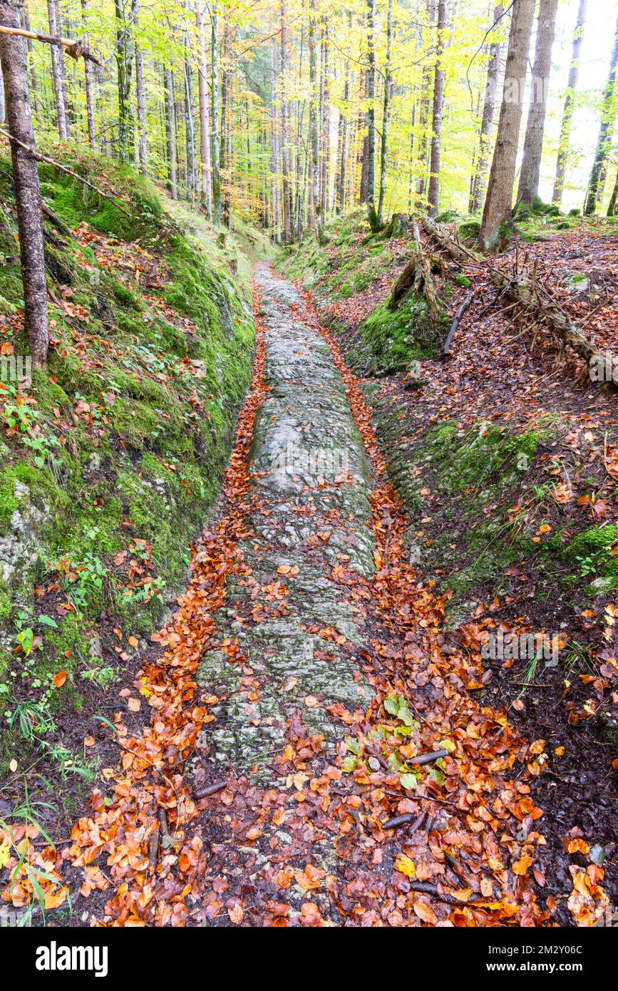 Celtic road, Roman road, Rottweg, historic track road near Klais ...