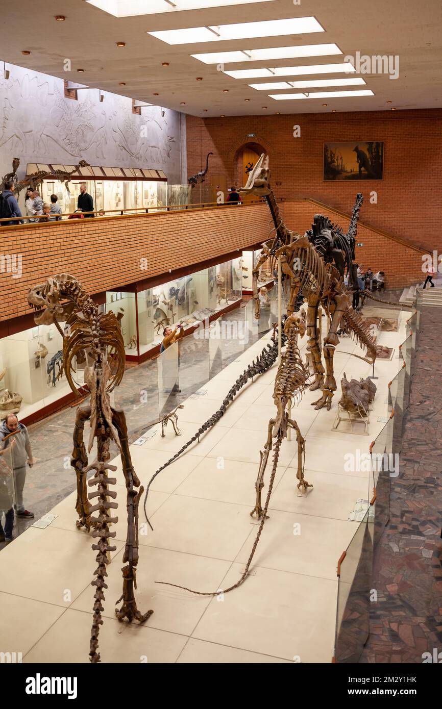 20.11. 2022, Moscow, Russia, Yu.A. Orlov Paleontological Museum ...
