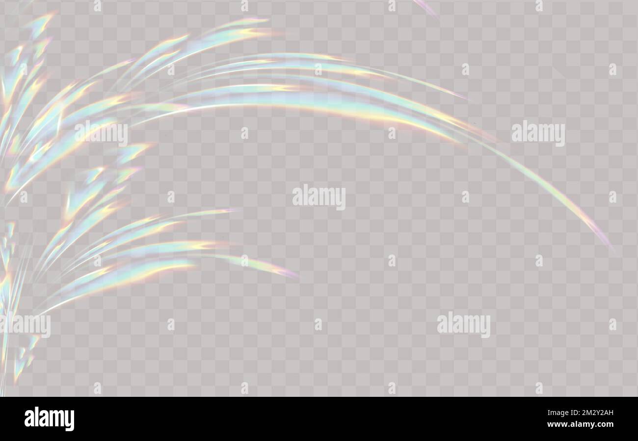 Scenes of natural lighting.Soft shadow form window and plants, light ...