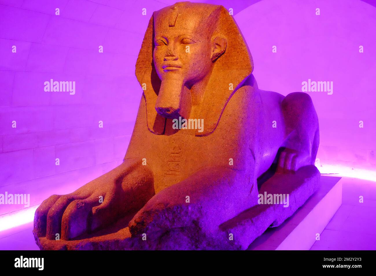 The Great Sphinx of Tanis in purple illumination. Louvre Museum, Paris ...