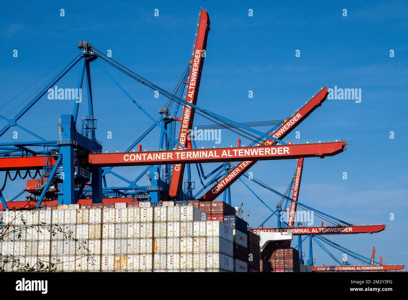 Container gantry cranes Terminal Altenwerder, Port, Hamburg, Germany ...