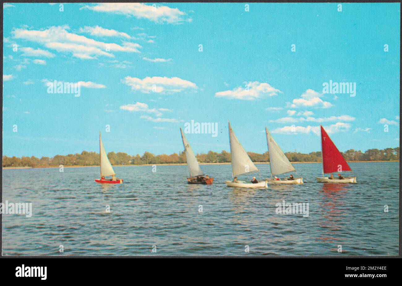Five sailboats, one with a red sail , Sailboats, Tichnor Brothers ...