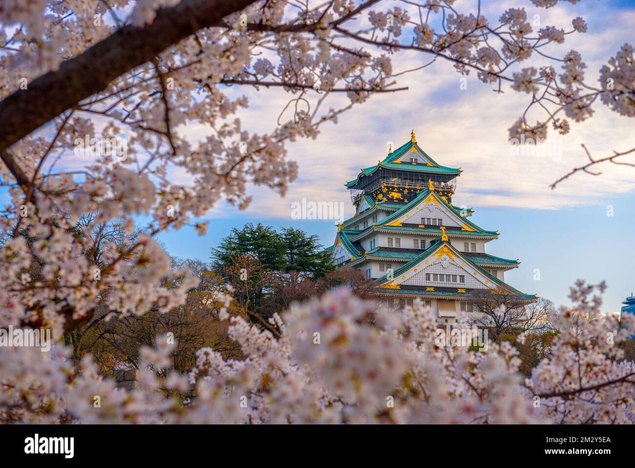 Osaka, Japan at Osaka Castle during spring season in the afternoon ...