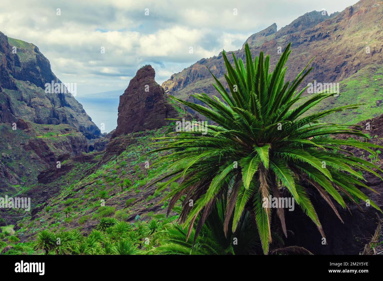 Map of candelaria hi-res stock photography and images - Alamy