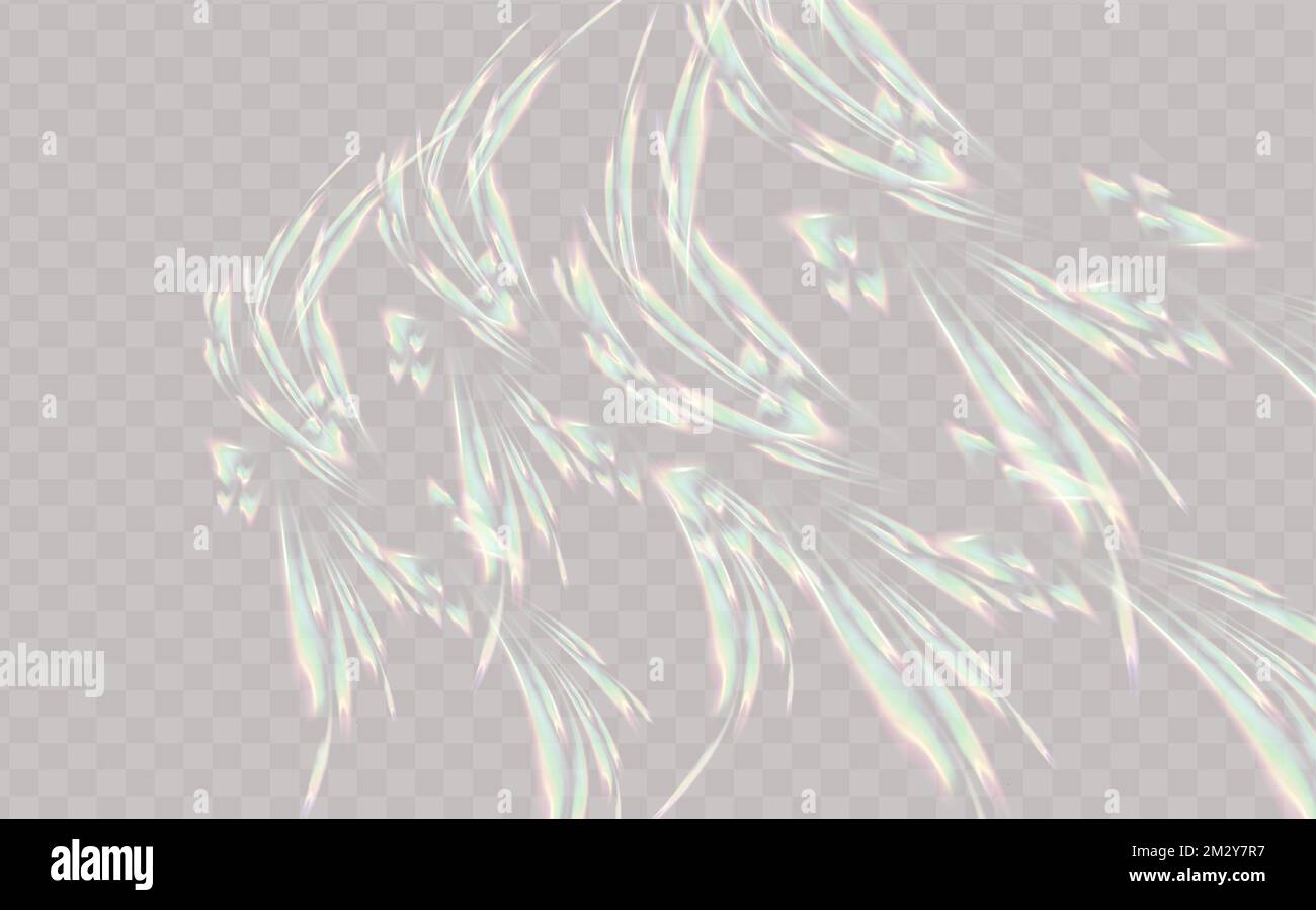 Scenes of natural lighting.Soft shadow form window and plants, light ...