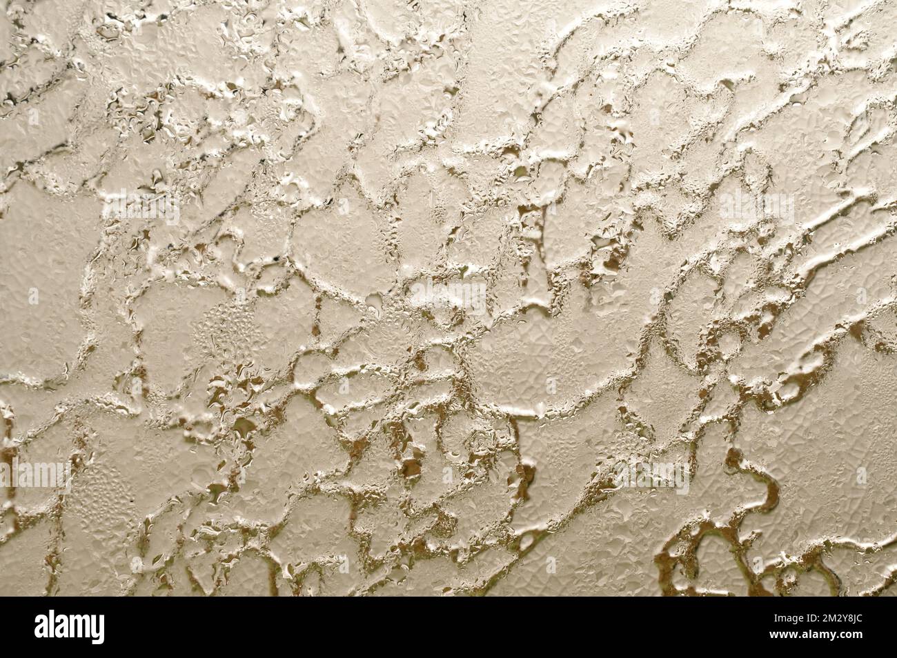 Tinted and patterned glass for windows and doors, patterned glass ...