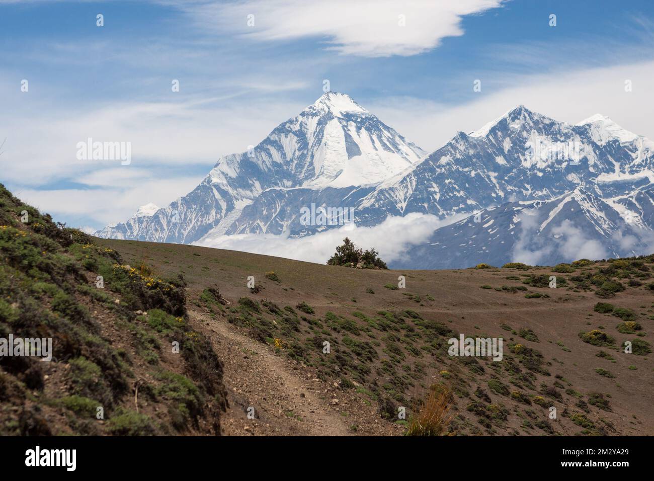Trail in the Himalayas near Lupra village on the Annapurna circuit ...