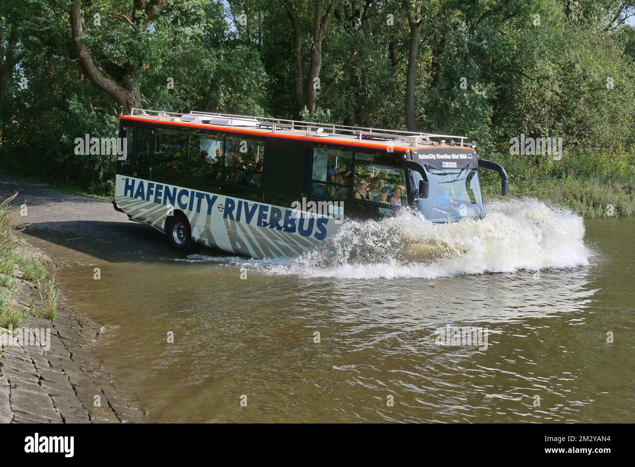 The Hafencity RiverBus, a combination of coach and passenger ship, dips ...