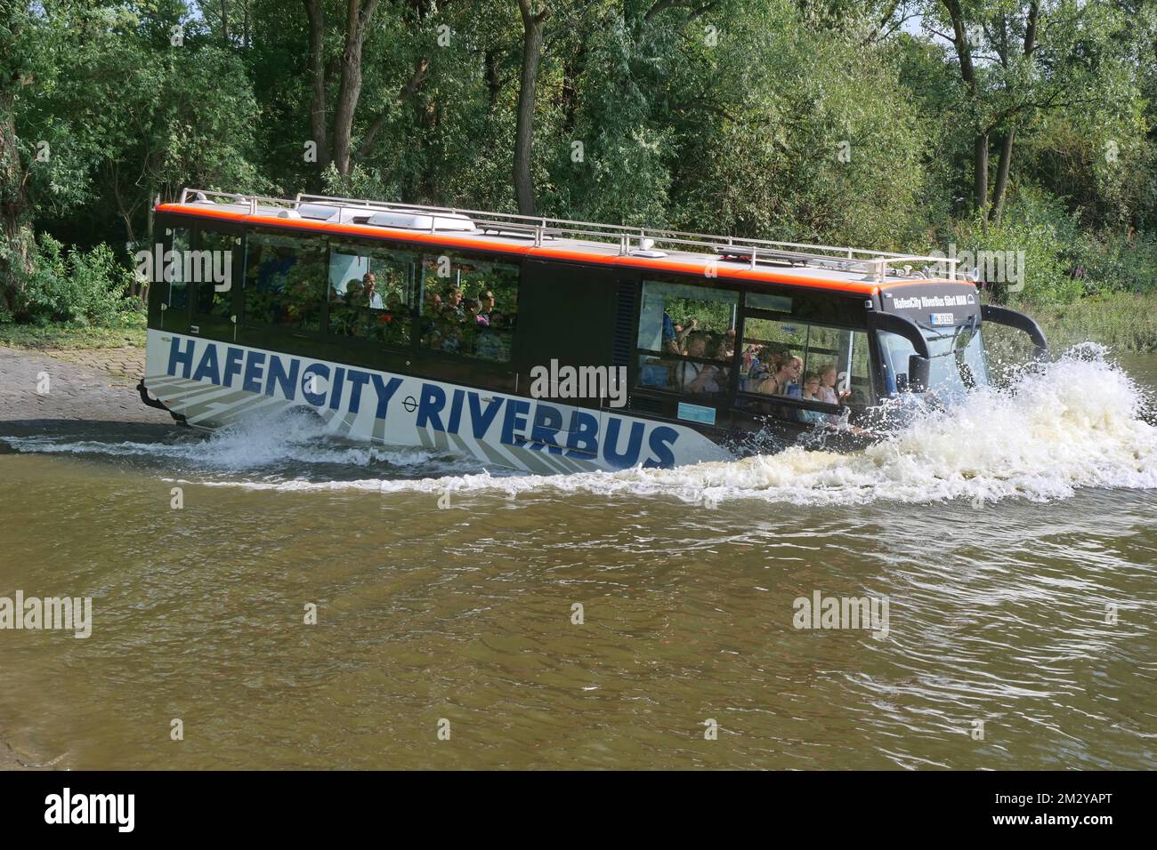 The Hafencity RiverBus, a combination of coach and passenger ship, dips ...
