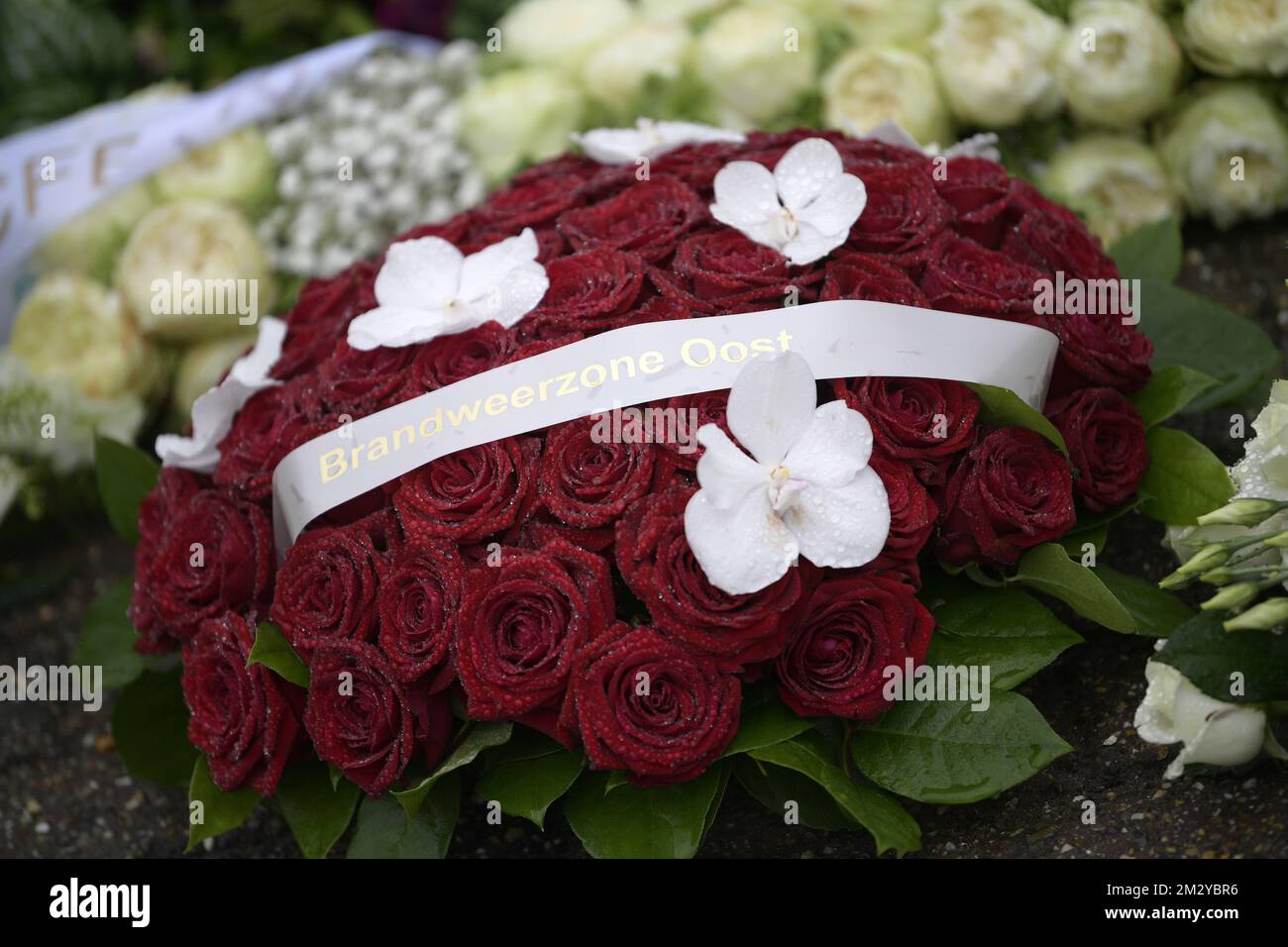 Illustration picture shows over fifty different flowers wreaths, at a ...