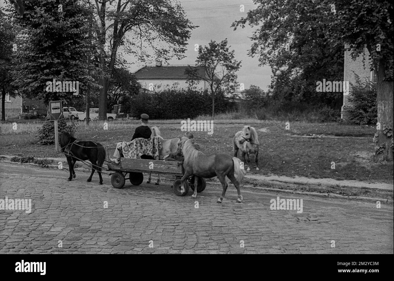 Hack carriage Black and White Stock Photos & Images - Alamy