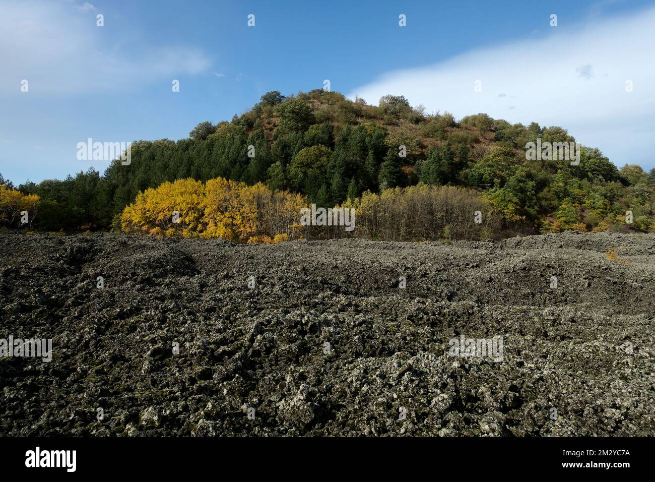 very old lava field and small lateral volcano covered by mixed forest ...
