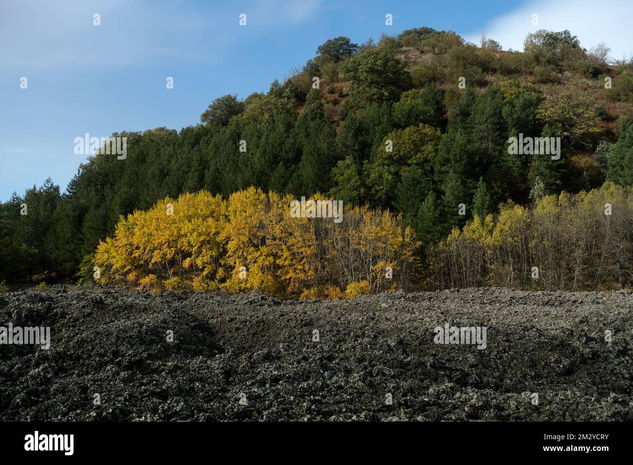 very old lava field and small lateral volcano covered by mixed forest ...