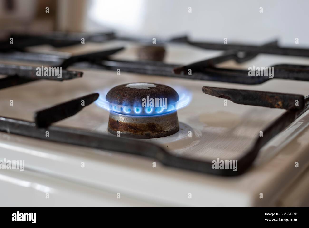 Gas flame, gas cooker, Germany Stock Photo - Alamy