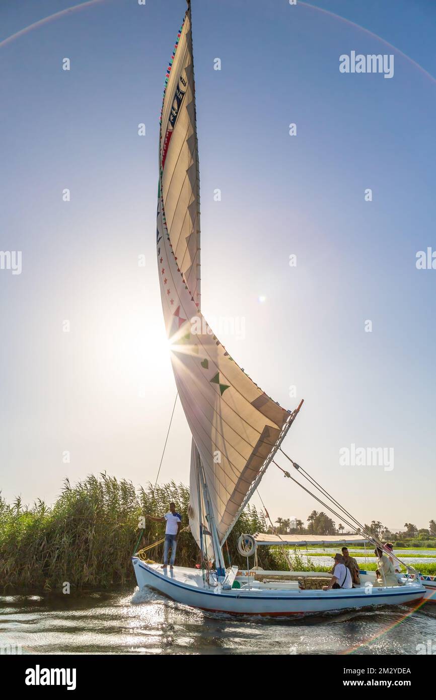 A beautiful vertical shot of the Egyptian traditional felucca in the ...