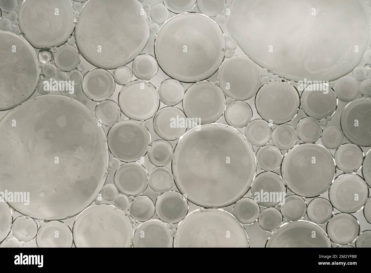 Drops of fat in water. Bubbles of fat close up Stock Photo - Alamy