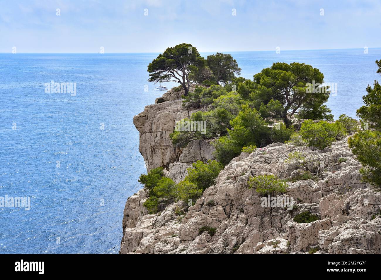 At the Calanque Port Pin near Cassis on the Cote d'Azur in Provence ...