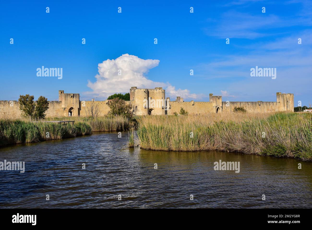 Historic fortified wall of the town of Aigues-Mortes in the Camargue ...