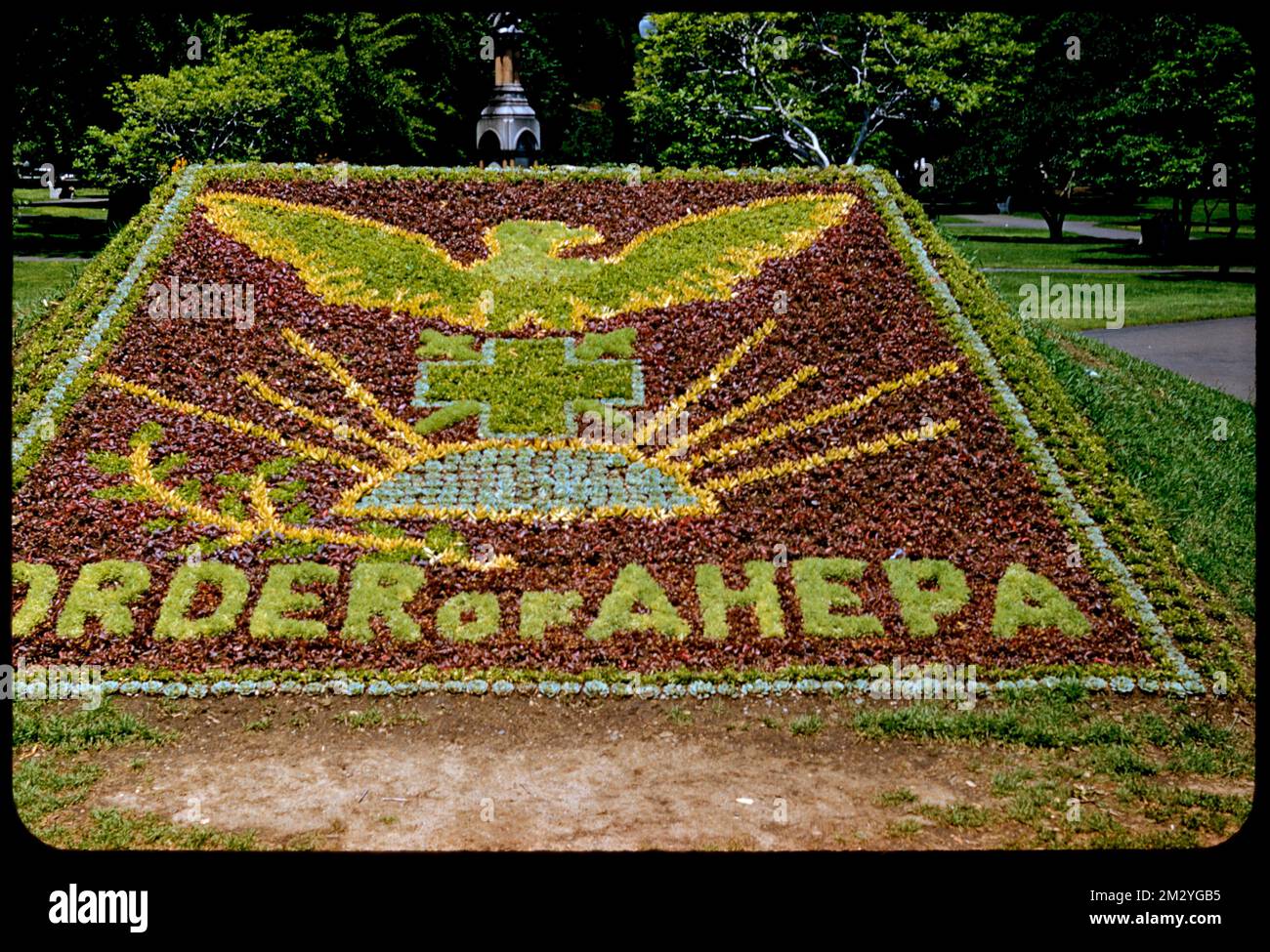 Flower bed, AHEPA, Public Garden , Parks, Flowers, Fraternal ...