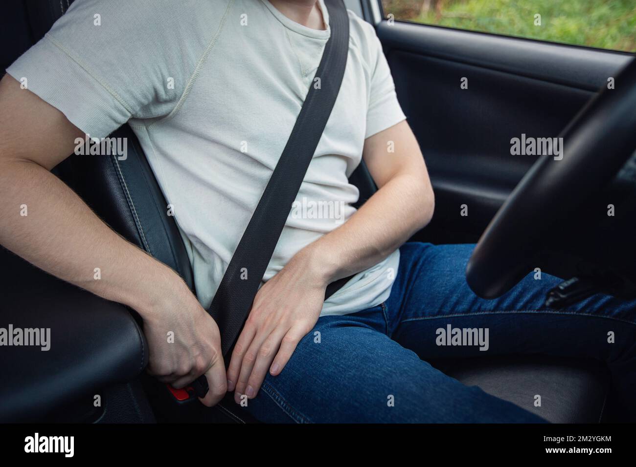 Close up driver fastening the seat belt. Person seated behind the ...