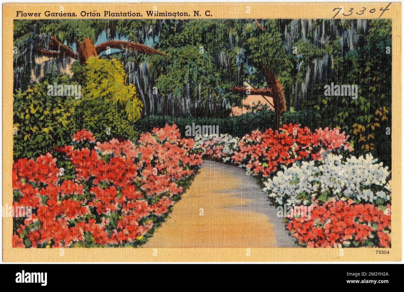 Flower gardens, Orton Plantation, Wilmington, N. C. , Tichnor Brothers ...