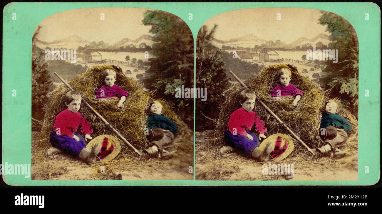 Flower of new mown hay , Children, Haystacks Stock Photo - Alamy