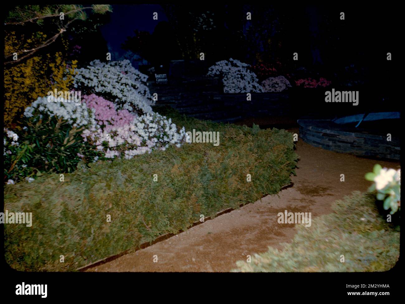 Flower show, Mac. building, on stage , Exhibitions, Flowers. Edmund L ...