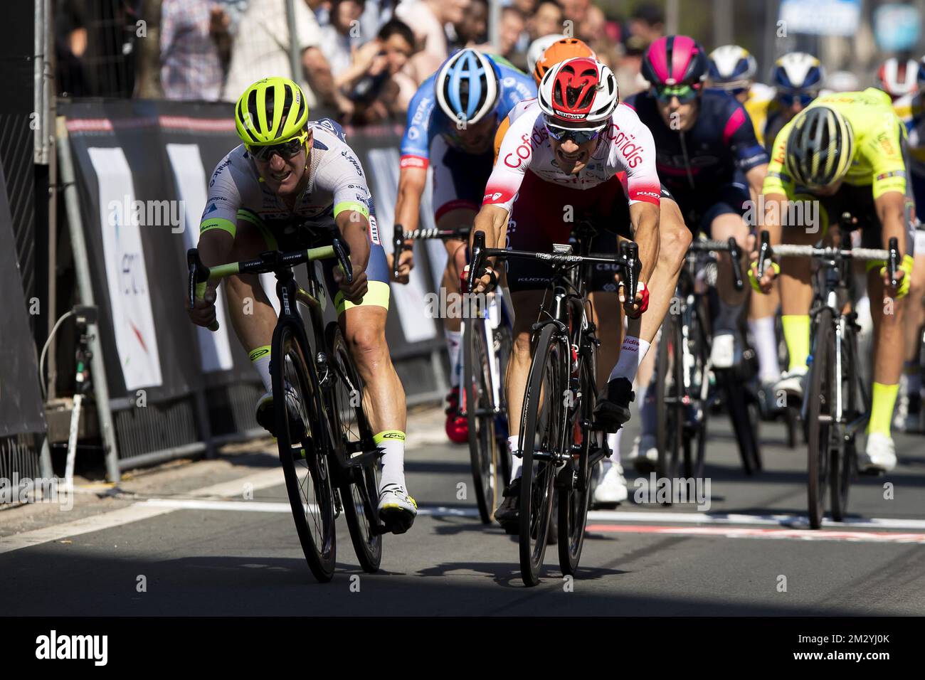 Schaal sels hi-res stock photography and images - Alamy