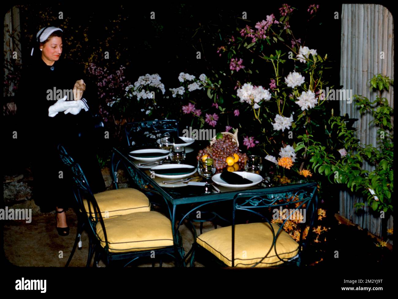 Flower show Mac. building, table arrangements , Exhibitions, Flowers ...