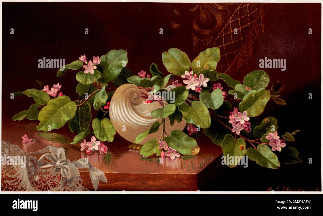 Flowers of hope , Flowers. Louis Prang & Company Collection Stock Photo ...