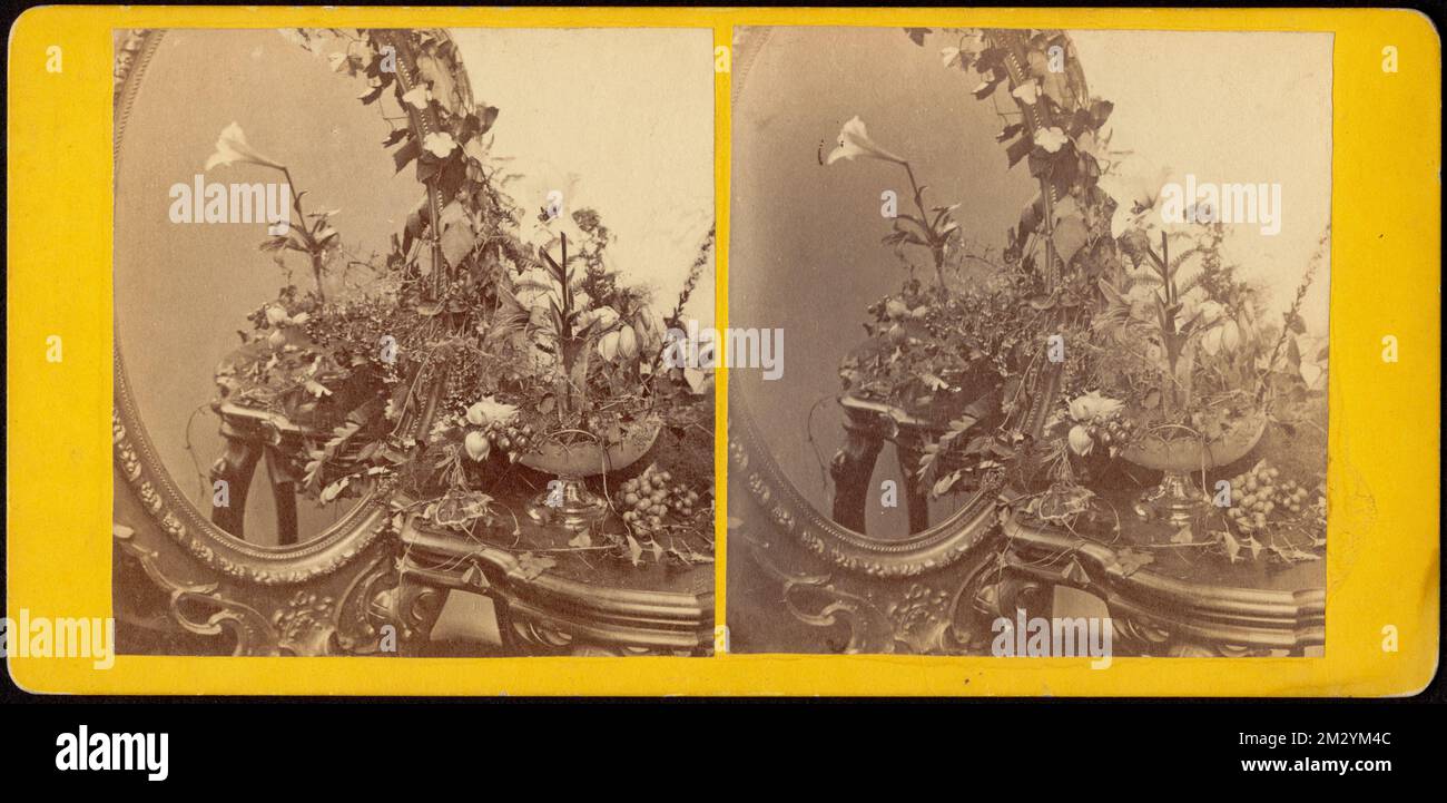 Flowers with reflection , Flower arrangements, Mirrors Stock Photo - Alamy