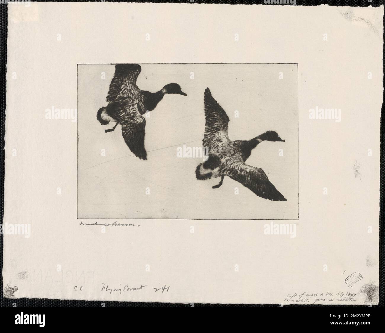 Flying brant , Geese, Flying, Brant. Frank W. Benson (1862-1951 ...