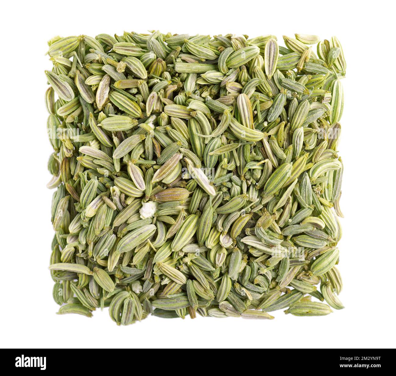 Fennel seeds isolated on white background. Green fennel grains. Spices ...
