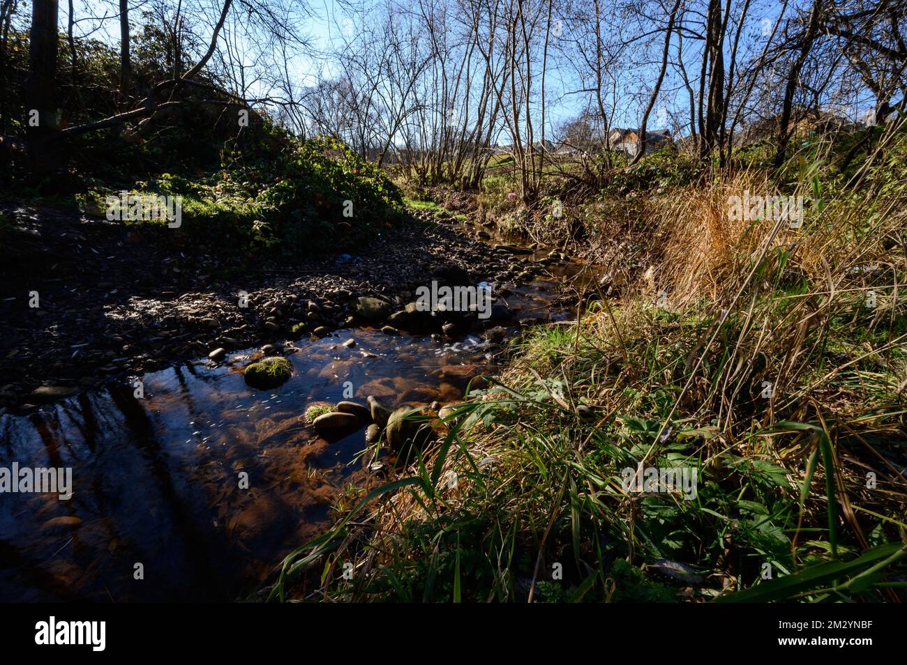 A small and clean stream of water in nature, the sun's rays illuminate ...