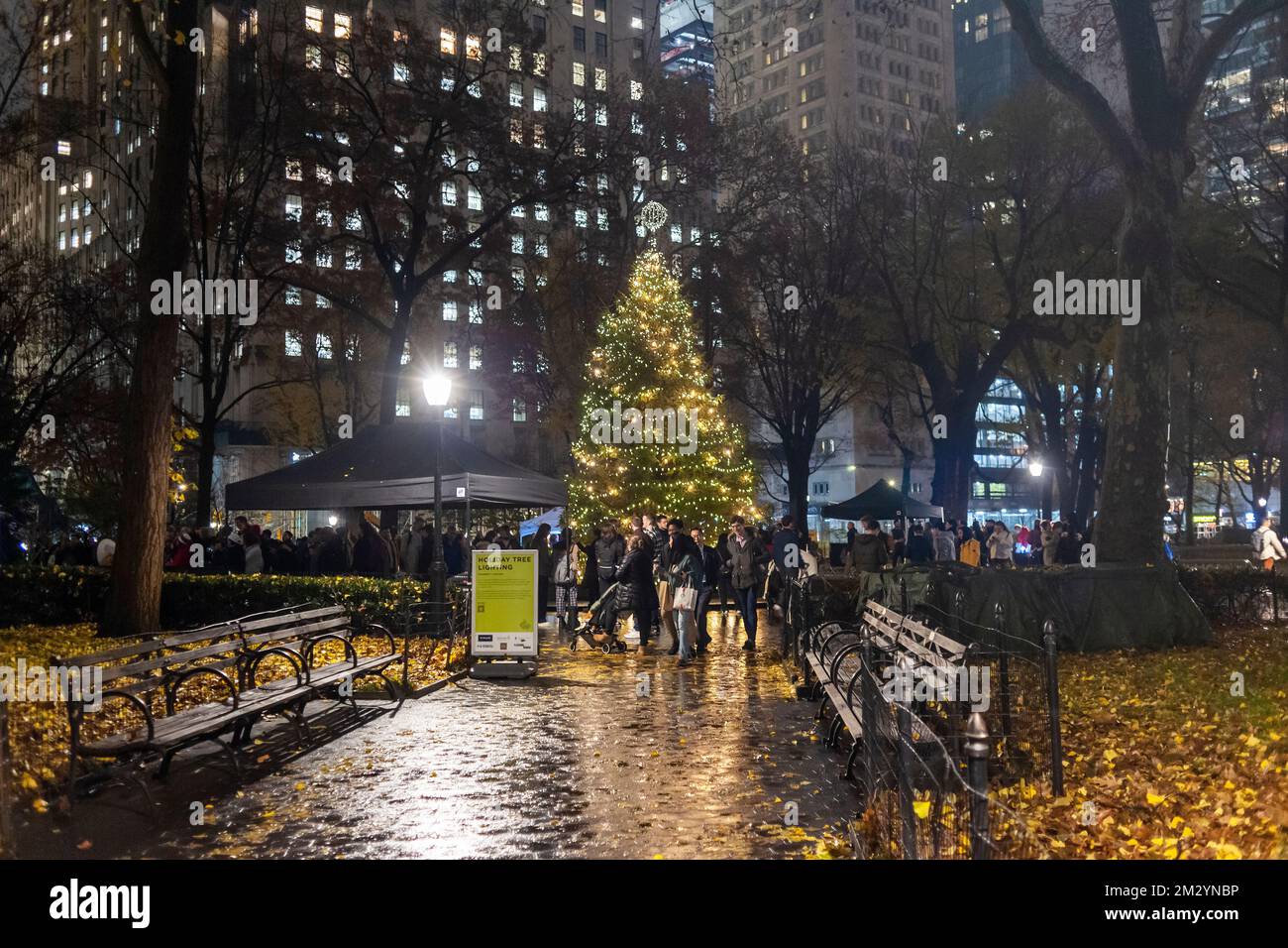 The Madison Square Park Christmas Tree In New York on Wednesday, December 7, 2022. (© Richard B ...