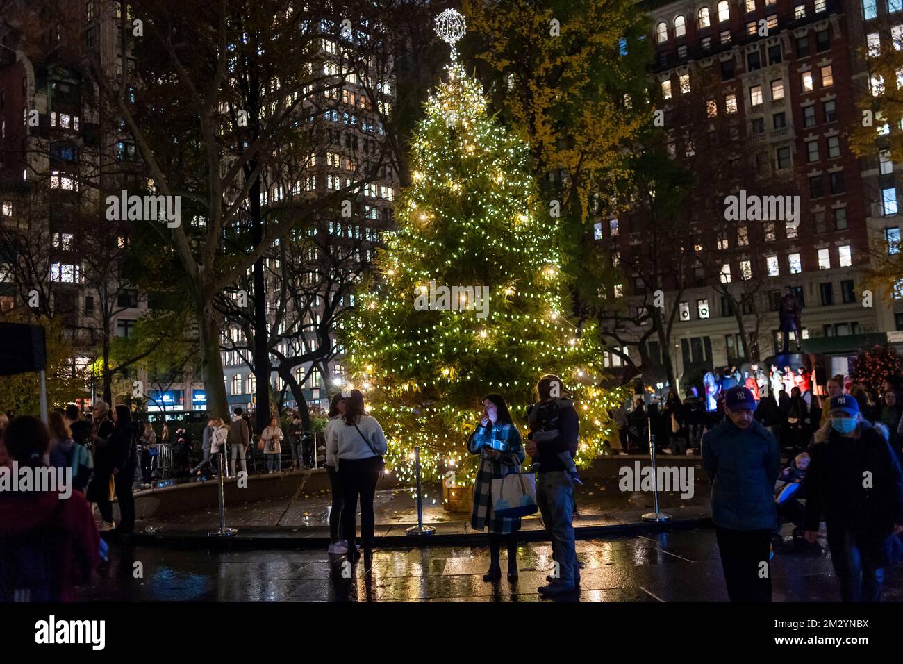 Madison square christmas tree hi-res stock photography and images - Alamy