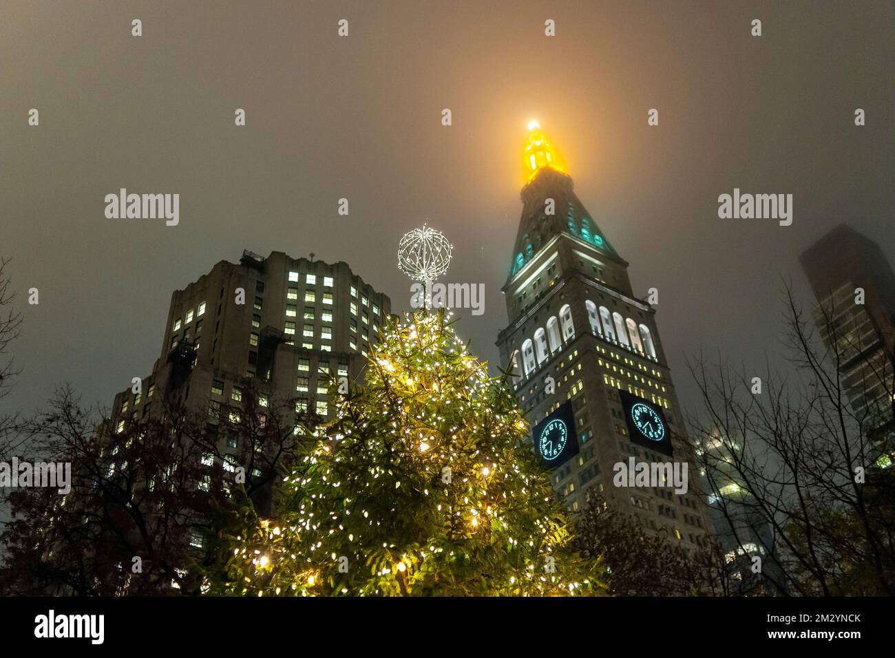 The Madison Square Park Christmas Tree In New York on Wednesday ...